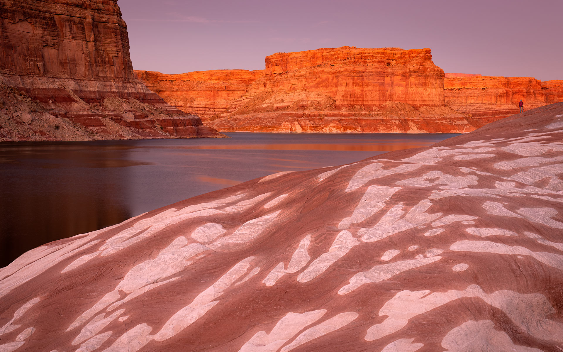 Peter Boehringer Photography | Wilderness Photography